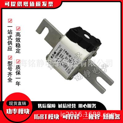 170M4766 170M4767 170M4768 170M4769熔断器巴斯曼