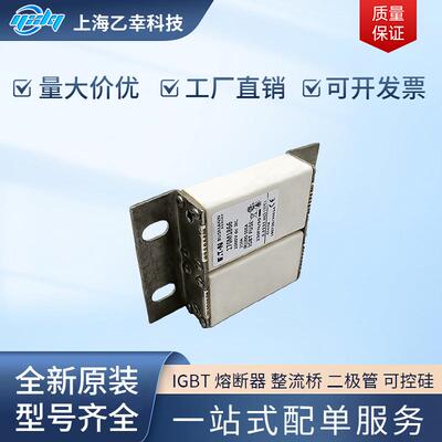 巴斯曼熔断器 170M1865 170M1866 170M1867 170M1868 170M1869