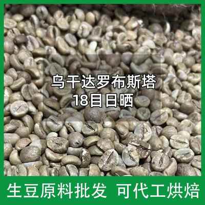 新产季乌干达罗布斯塔17目日晒咖啡生豆新鲜烘焙特浓油脂王