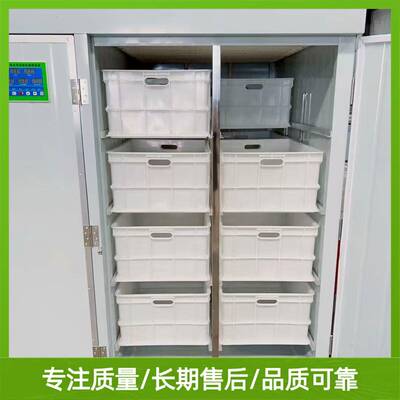 全自动智能豆芽机商用豆芽机报价豆香缘设备质优价廉无需看管