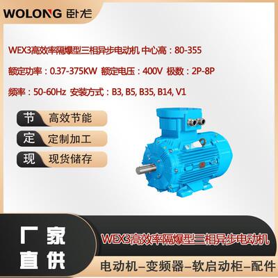 WEX3高效率隔爆型三相异步电动机EAC认证CUTR认证