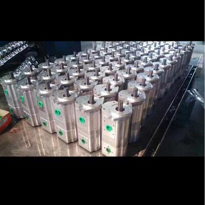 双联齿轮油泵CBKP80/80-BFX CBKP100/50-BFX CBKP100/80-BFX