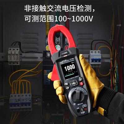 CEM华盛昌工业防护型数字钳形交直流电压DT-3370B/3372B/DT-9581