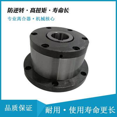 滚柱式单向离合器AL200F4D2 圆柱滚子式离合器用于石化机械