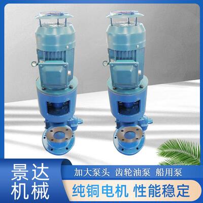 船用齿轮油泵立式齿轮式抽油泵外润滑重油渣油泵KCB-200/300泵