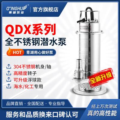 青湖国标304不锈钢潜水泵家用220v380v耐腐蚀抽水泵高扬程海水泵