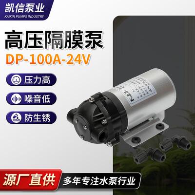 现货供应DP-100A微型自动隔膜泵电动隔膜泵微型高压隔膜泵