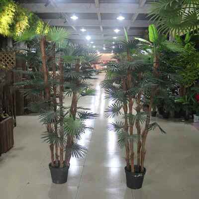 厂家直销仿小葵树绿植软放盆栽胶叶葵树摆CF0055小真叶扇葵树装盆