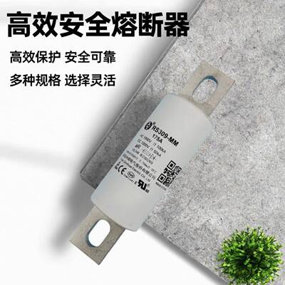 中熔RS309-MM 100A150A200A300A400A500A600A700A1000V熔断器保险