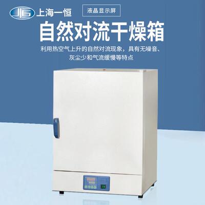 上海一恒 自然对流干燥箱DHG-9031A数显定时控温准确不锈钢