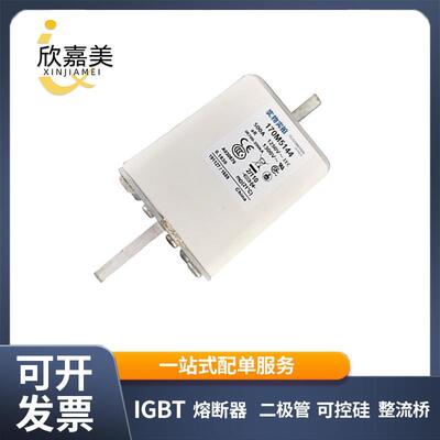 170M5144 170M5145 快速熔断器 保险丝 电子元器件 量大价优