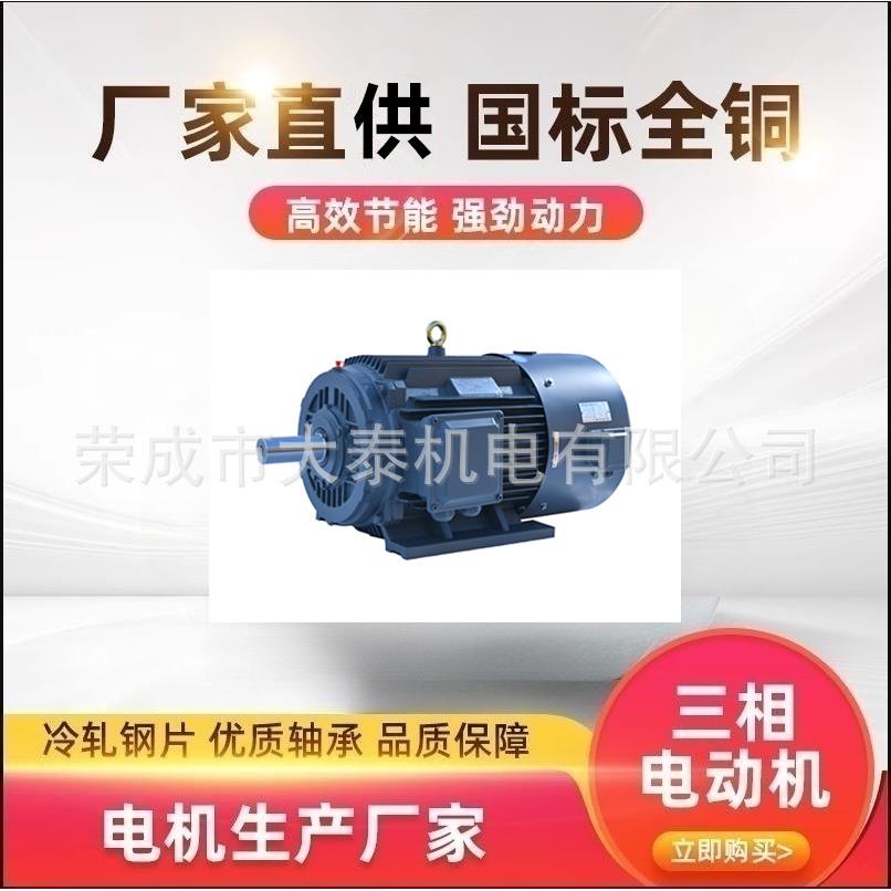 华瑞华力华宇跨境YE4-2极卧式三相交流异步风机水泵马达电机