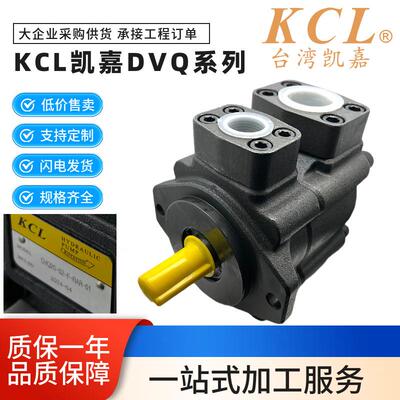 KCL凯嘉DVQ25-52-F-RAR-01叶片泵DVQ20/35压铸机泵SVQ435/225/215