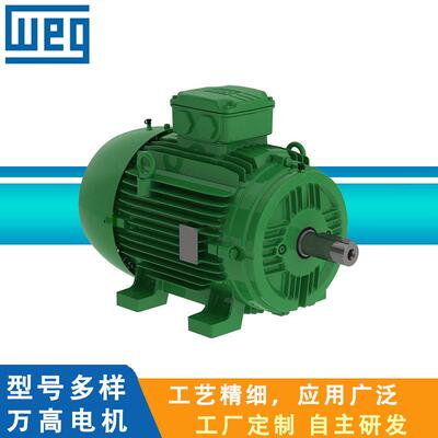 WEG万W21Magnet系列永磁电机超性能电机功率5.5W~315W