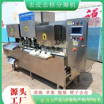 商用削皮去核分机  苹果瓣柠DQZ檬全自动去核加工线生产水果去核