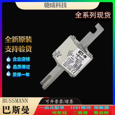 巴斯曼170M3170 170M3171 170M3172 现货供应量大价优 特种保险丝