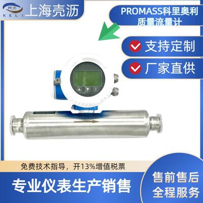Prolinepromass国产单直管氏质量流量计E+H可替代8I1B/8I3B/8I5B