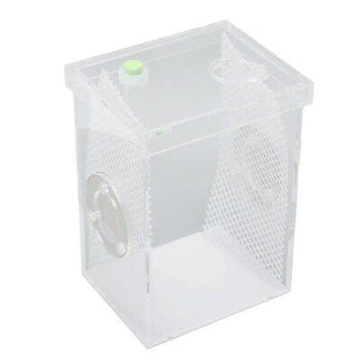 Multipurpose Acrylic Reptile Feeding Box - Ventilated