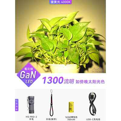高档电在路上M3 PRO2-迷你强光UB手筒防身可充电小手电筒户外防S