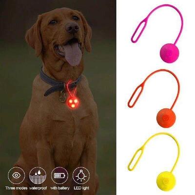 Dog Cat Collar Glow Pendant Colored LED Flashlight Pet Dog