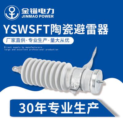 金锚厂家直发YSWS-17-50FT陶瓷避雷器 高压白色 户外避雷器