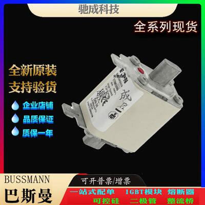 巴斯曼170M2691 170M2692 170M2693 销售供应直销价优 高速熔断器