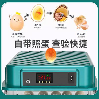 孵化器小鸡孵NDY蛋蛋器全智4自动能孵化机16枚2枚小型孵化箱照器