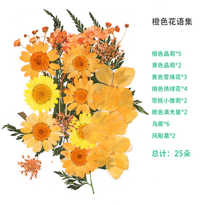 树叶粘贴画枫叶幼儿园标本手工DIY梧桐叶银杏叶压花植物书签叶子