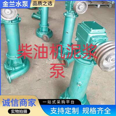 抽水泵SNL100-16型柴油立式泥浆泵液下铸铁泵高效增压泵污水泵