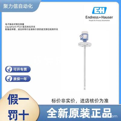 FTL31-AA4U3AAWDJ 恩德斯豪斯E+H 音叉液位开关 压力变送器 电极