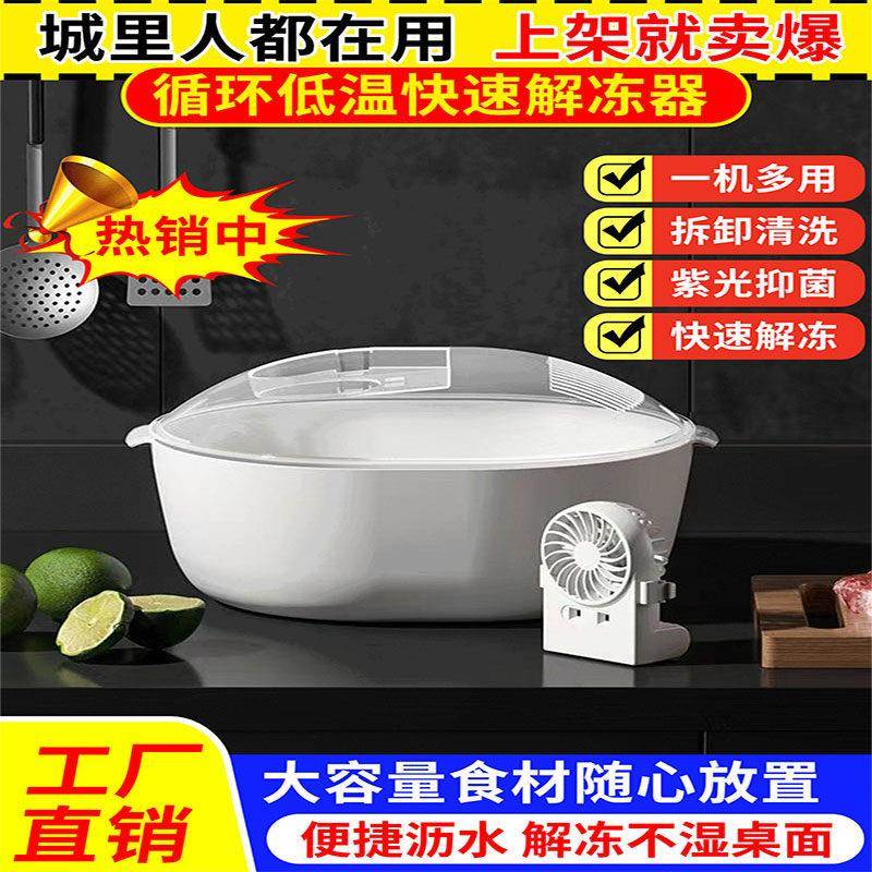 德国进口解冻器朴永多功能家用保鲜机循环低温快速肉类食物化冻器