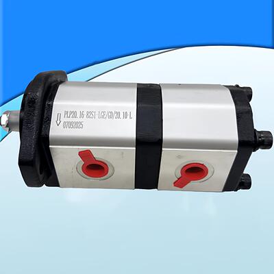 液压泵PLP20.16-82S1-LGE/GD/20.10.5-L双联泵垃圾压缩箱齿轮油泵