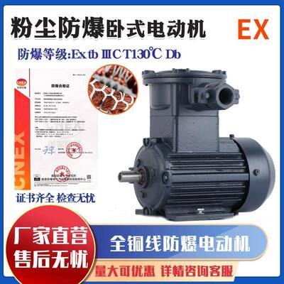 YFB3粉尘电动机380V三相隔爆卧式马达铜线EXtbIIICT130℃Db