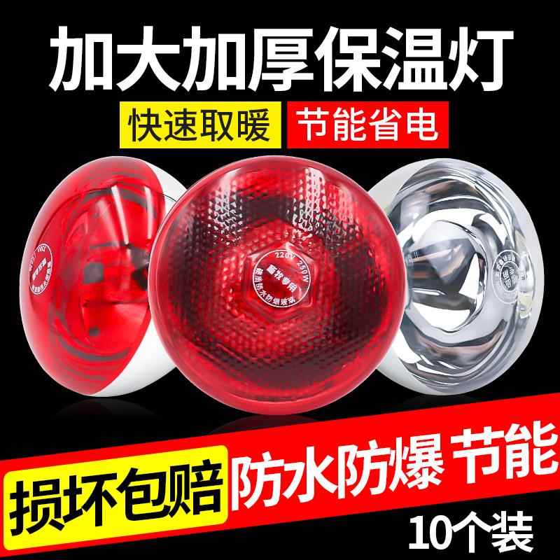 养殖保温灯仔猪取暖灯加热灯养殖场用育雏保温灯兽用红外线保暖灯