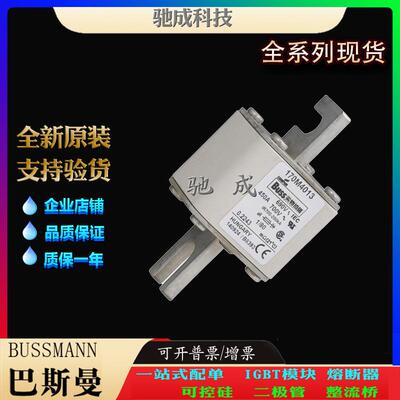 巴斯曼170M4012 170M4013 170M4014 加工制作零售 原装熔断器