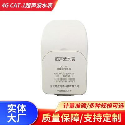 4GCAT.1超声波水表DN15-25智能远传超声波管道式数显超声波流量