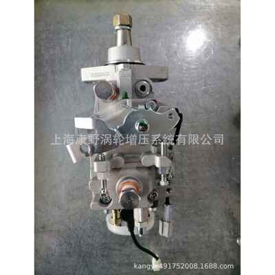 FT喷油泵套件22100-67100 096500-3031和22100-5B302 096500-0100