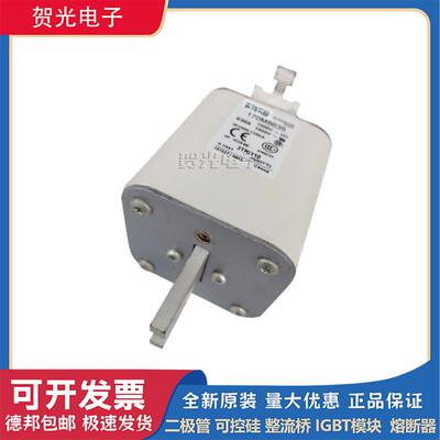 熔断器170M8630/8631/8632/8633/8634/8635/8636/8637/8638/8639