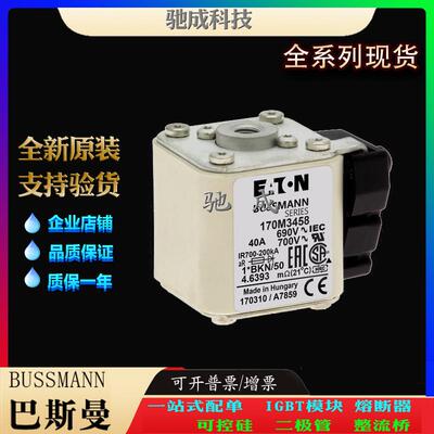 巴斯曼170M3458 170M3459 170M3460 原装进口直销价优 快熔保险丝