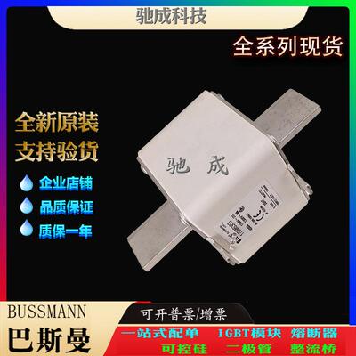 巴斯曼170M6308 170M6309 170M6310 长期销售价优 方体熔断器
