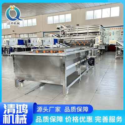 小型水清洗设备柑橘龙果去火农残气泡清果洗机清芒果洗XAZ风干线