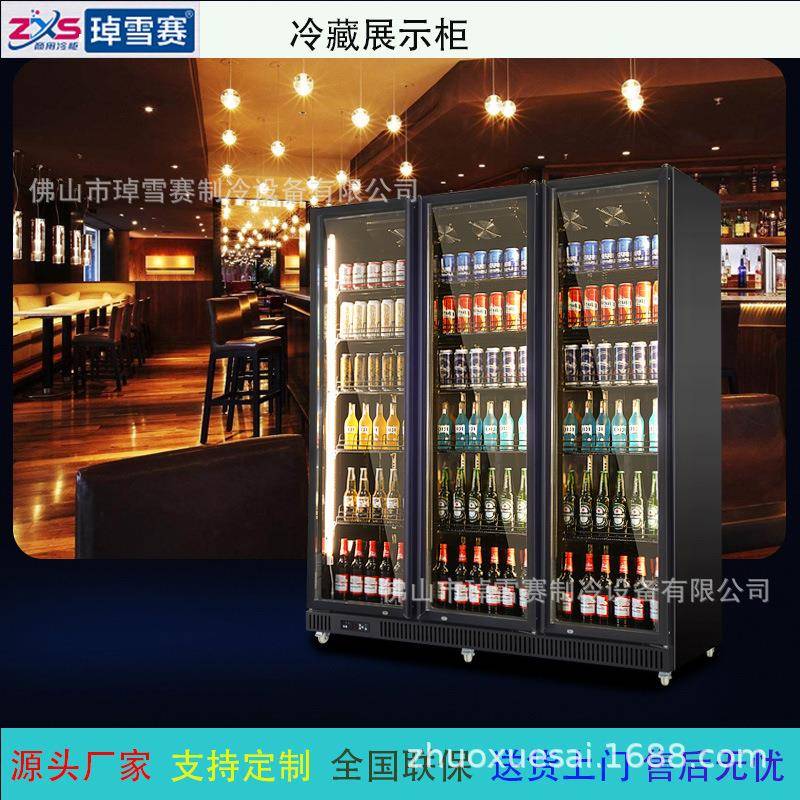 琸雪赛冷柜啤酒柜饮料展示柜商场果蔬冷藏熟食冰箱保鲜柜保鲜立式