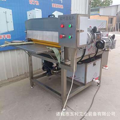 自动化荷叶清洗设备全自动粽叶清洗机设备喷淋式毛辊清洗设备
