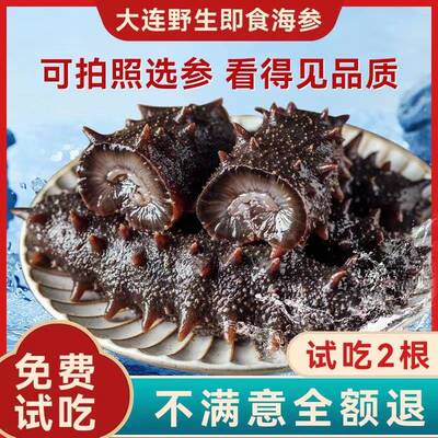 新疆包邮大连海参深海底播即食海参500g鲜活辽刺参海生盒装冻臻品