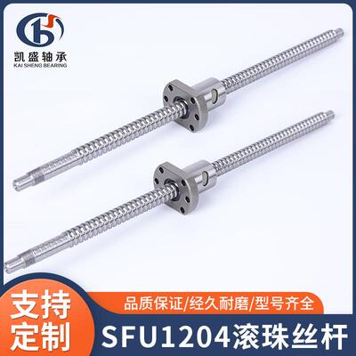 热销滚珠丝杆SFU1204-200300-350-650BKBF10滚珠丝杠螺母