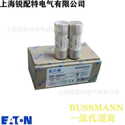 FWP-100A22FI 陶瓷管保险丝 600V 100A 22x58 巴斯曼BUSSMANN熔断