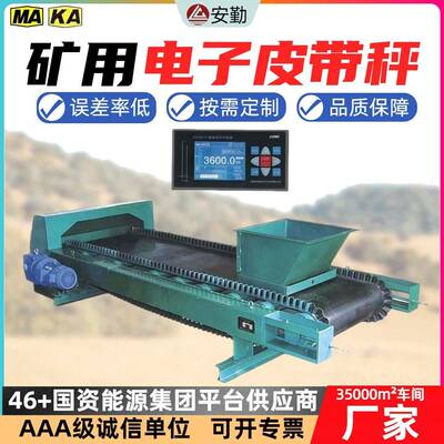 精度电子皮带秤 封闭定量称重传感器 ICS-17矿用电子皮带秤配件