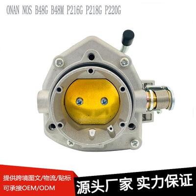 适用ONAN NOS B48G B48M P216G P218G P220G 146-0414