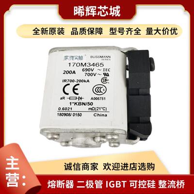 170M3465 170M3466 170M3467 直流快速熔断器 量大从优 型号齐全