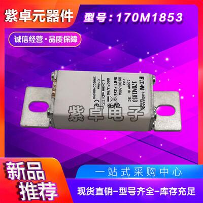 170M1861 170M1862 170M1863 170M1864 170M1865巴斯曼快速熔断器